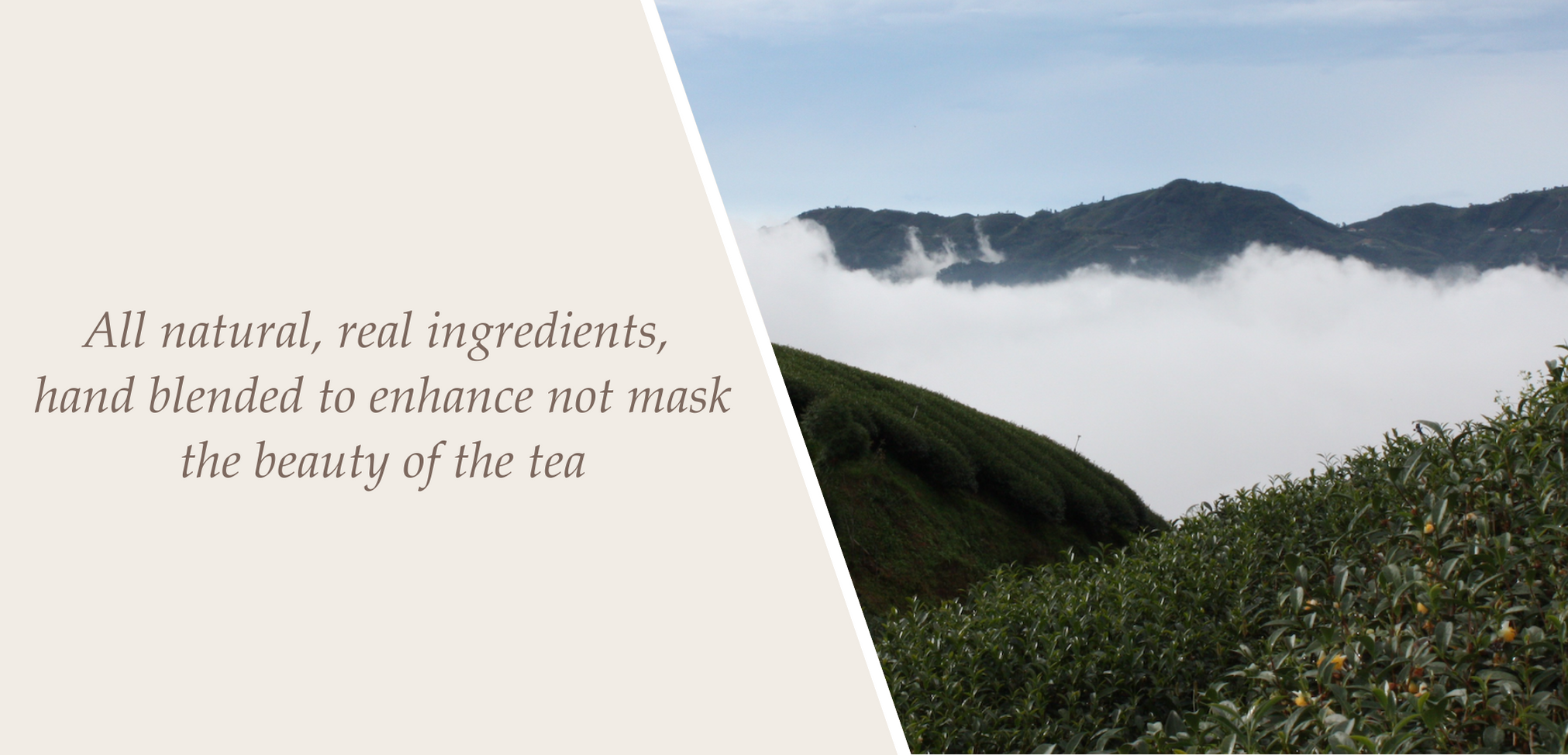 Sloane Fine Tea Merchants– Sloane Tea